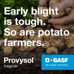 Help your potatoes reach their most profitable potential with BASF solutions | MI Potatoes Growers